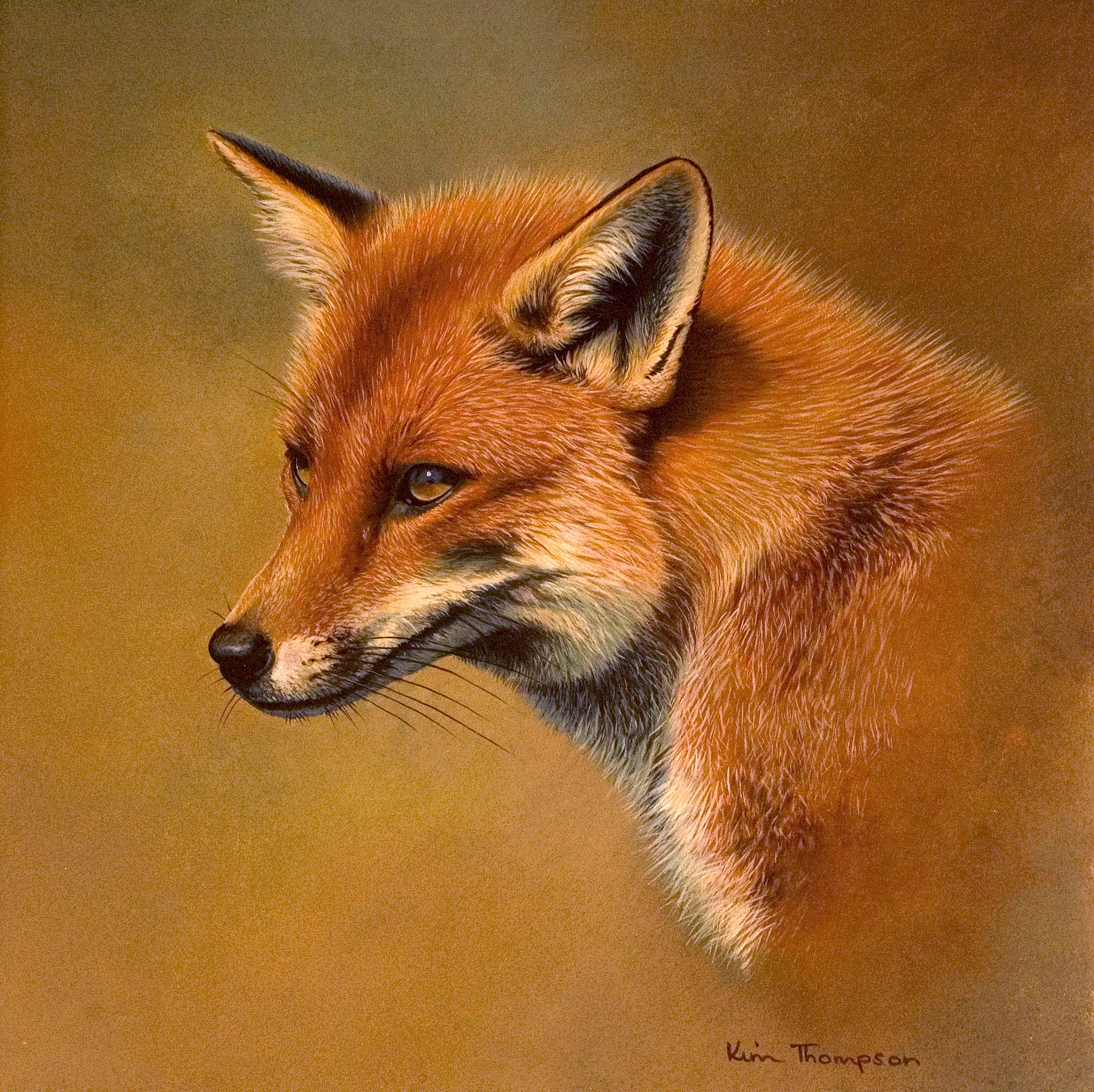 British Inspirations – Kim Thompson Wildlife Art & Illustration
