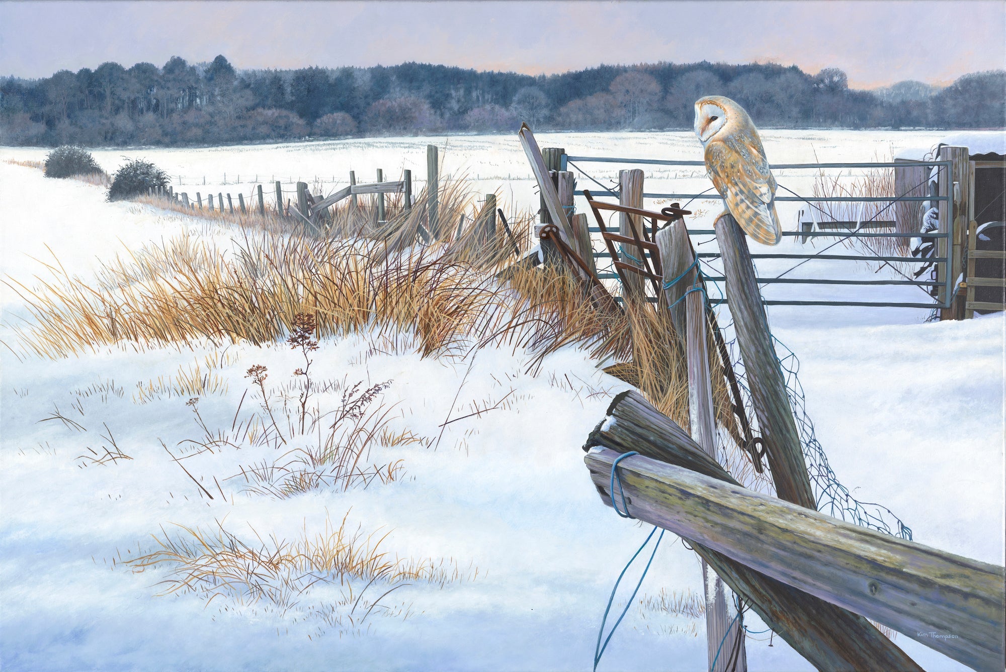 British Inspirations – Kim Thompson Wildlife Art & Illustration