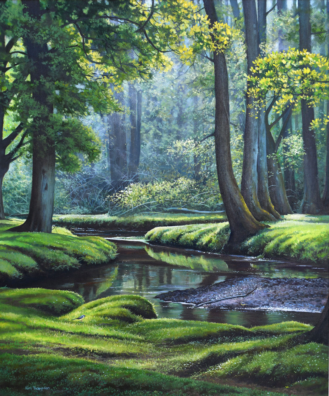 British Inspirations – Kim Thompson Wildlife Art & Illustration