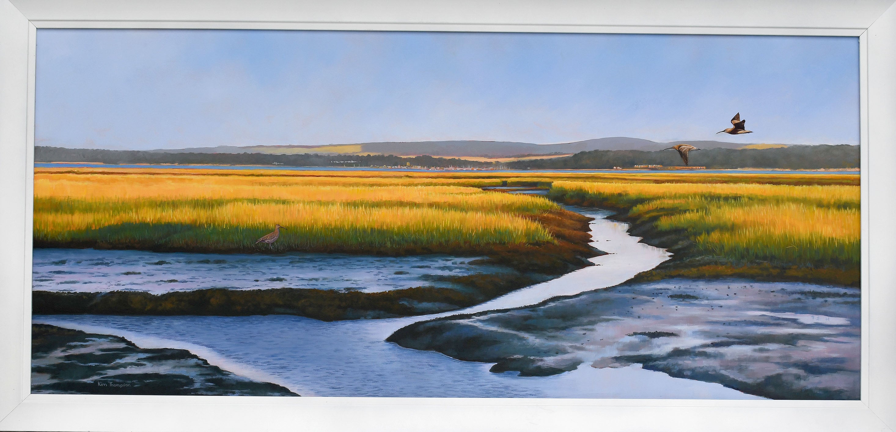 British Inspirations – Kim Thompson Wildlife Art & Illustration