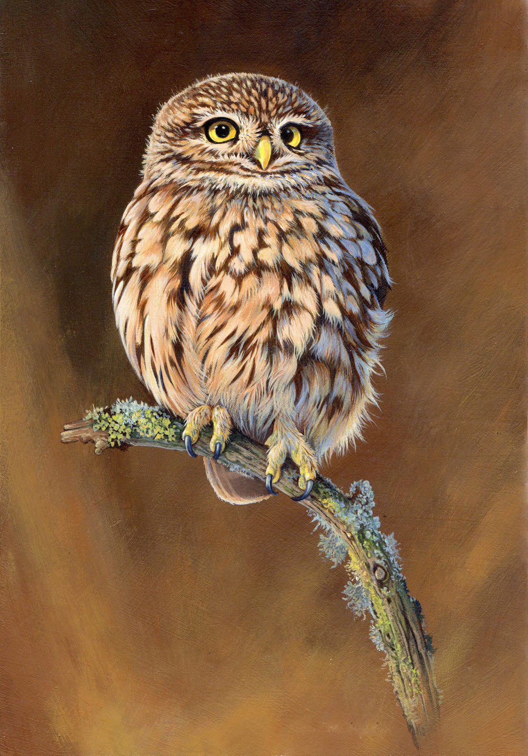 British Inspirations – Kim Thompson Wildlife Art & Illustration