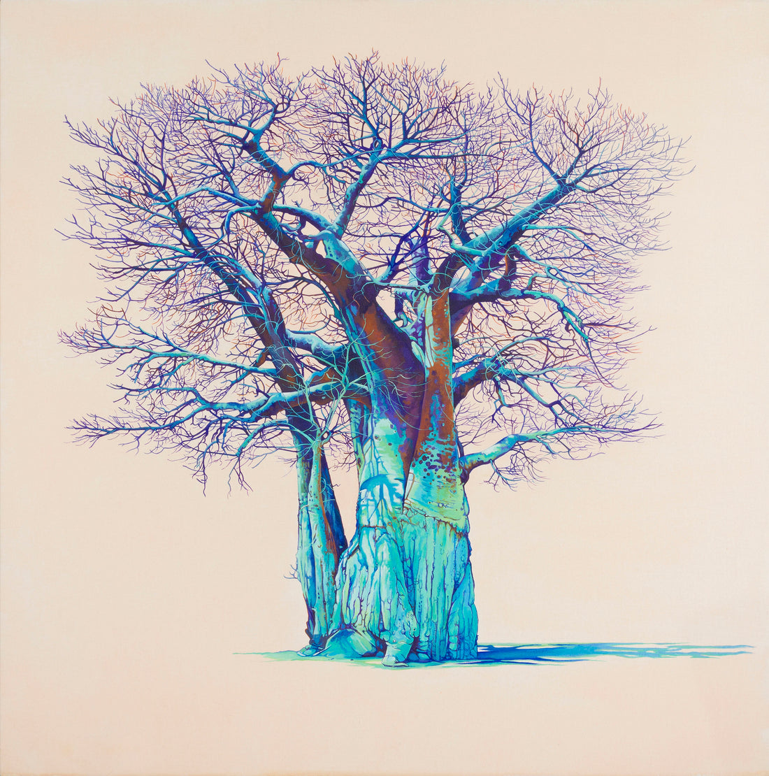 Baobab Limited Edition – Kim Thompson Wildlife Art & Illustration