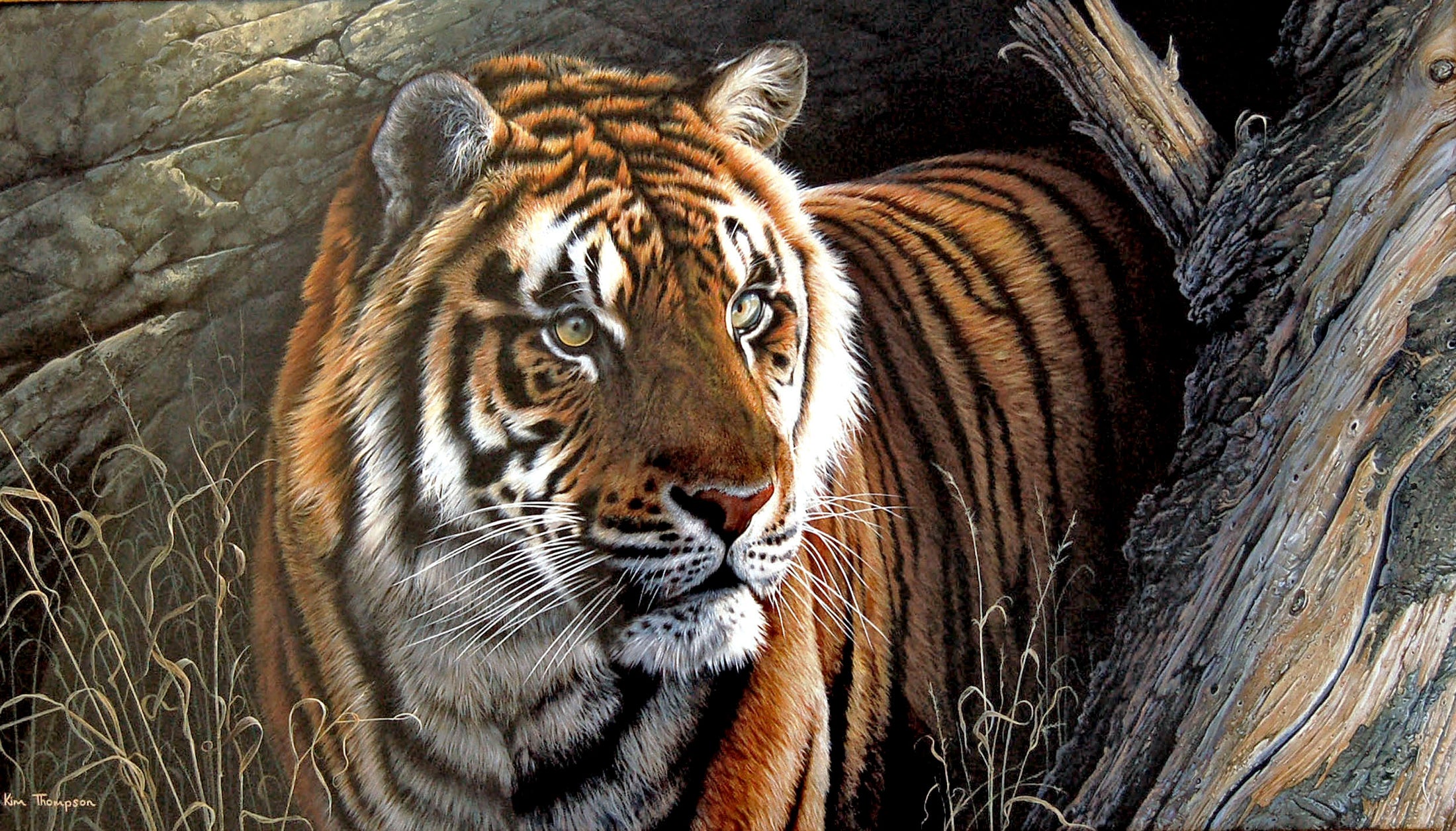 African & Exotic – Kim Thompson Wildlife Art & Illustration